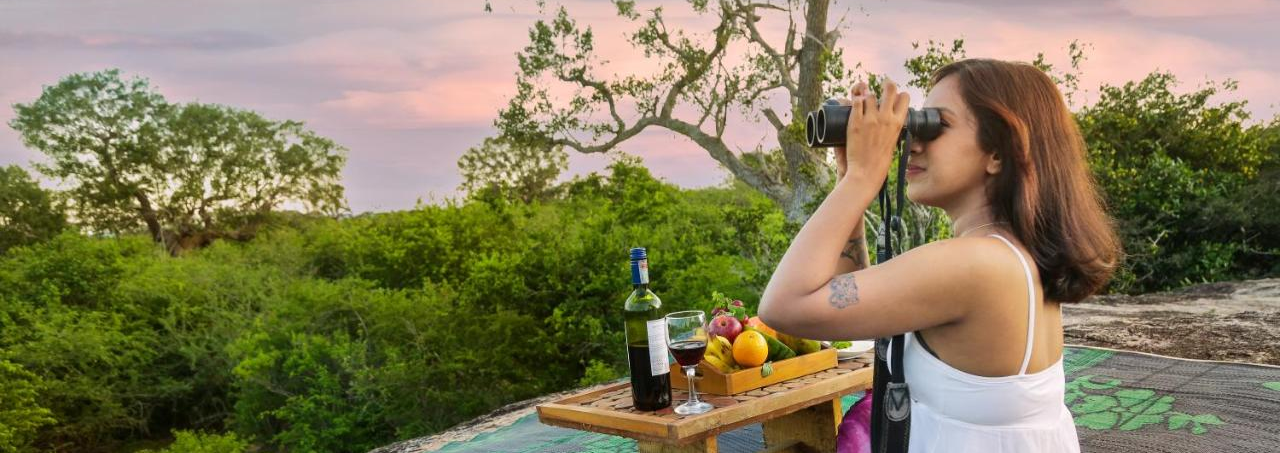 Activities - Leopard nest